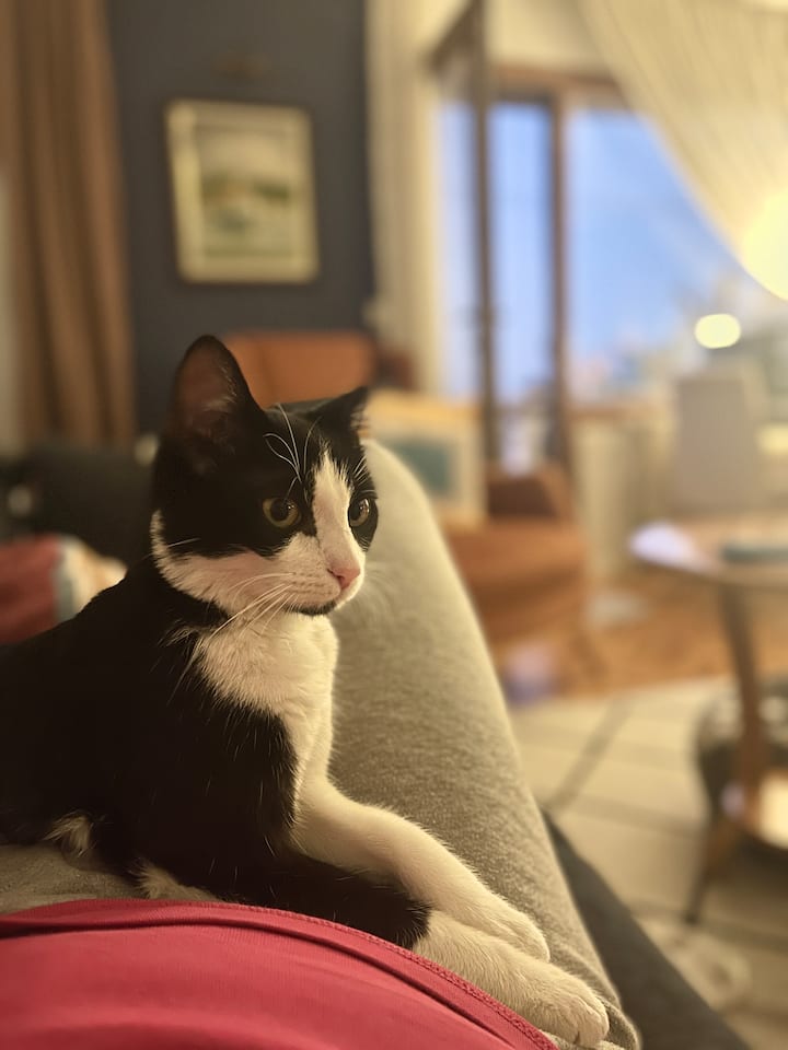 A Home For Min. 100 Days, With Sea View - İzmir Il