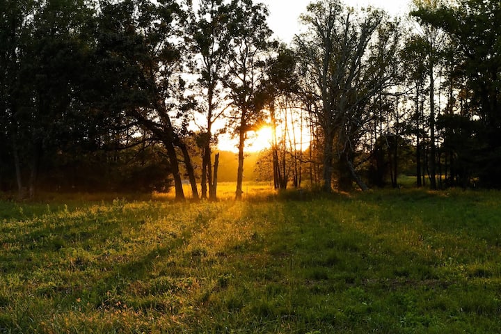 Quiet Country Home - Homestead Acres - Horsehead Lake, AR