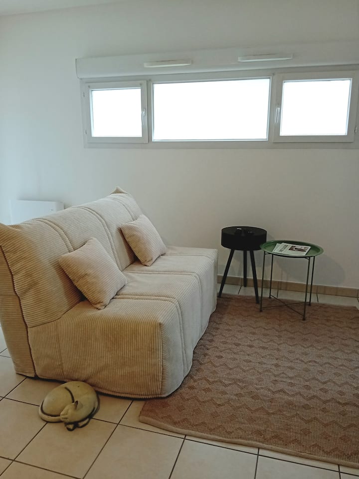 Appartement 800 M De La Gare Et Du Centre Ville - Chambéry