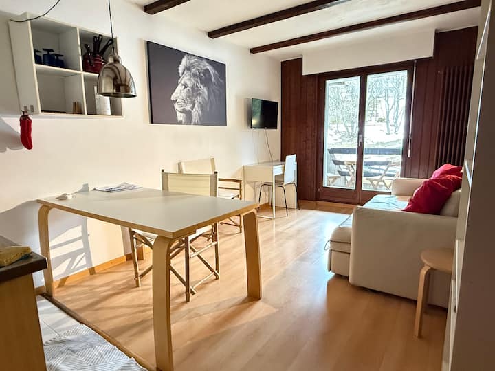 Joli Studio Aux Alpes, à Torgon - Monthey