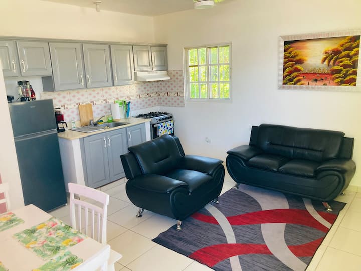 Tropical Inn Large 2 Bed Apt & Roof Terraces - Puerto Plata