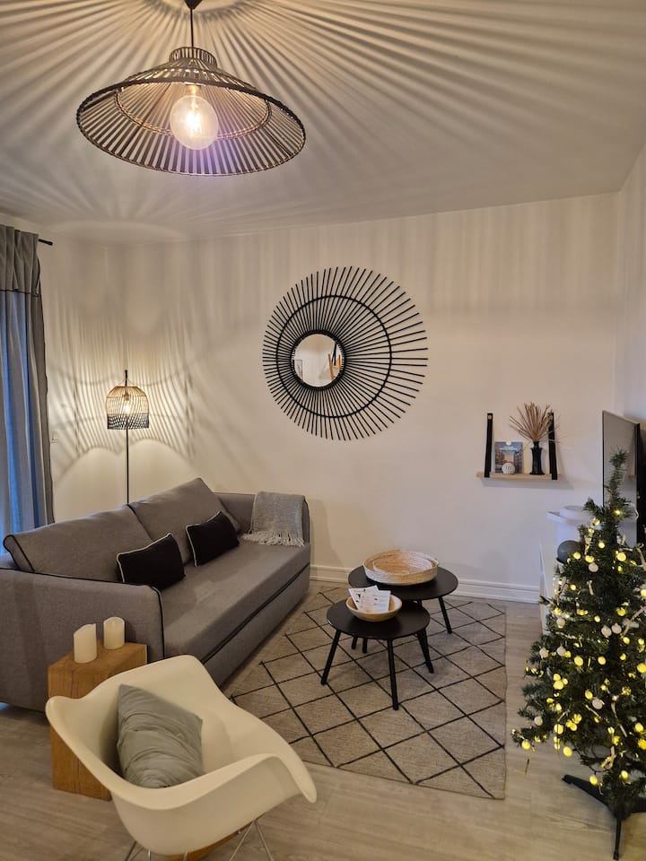 Appartement Disneyland, Terrasse, Parking Gratuit - シェシー