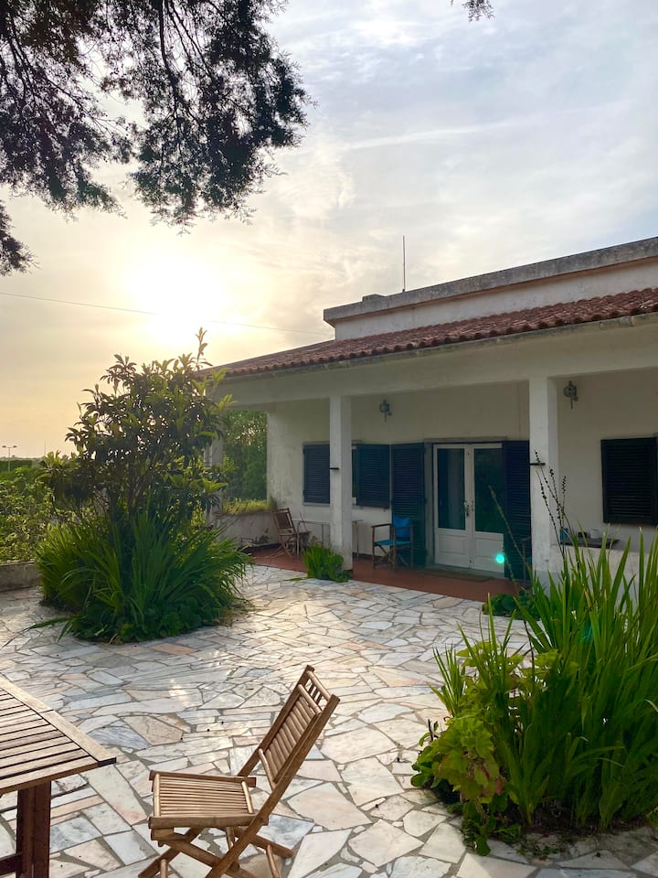 House Of Green Leaves - Sintra