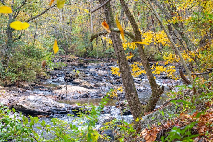 Ridgeview Escape | Pinhoti Trail •Talladega Forest - Alabama