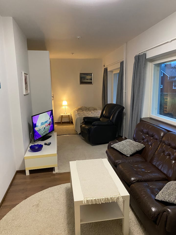 Yksiö Lopen Läyliäisissä - Loppi