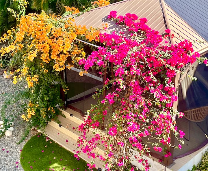 Moderno Y Lindo Depa Frente A Marina - Puerto Vallarta