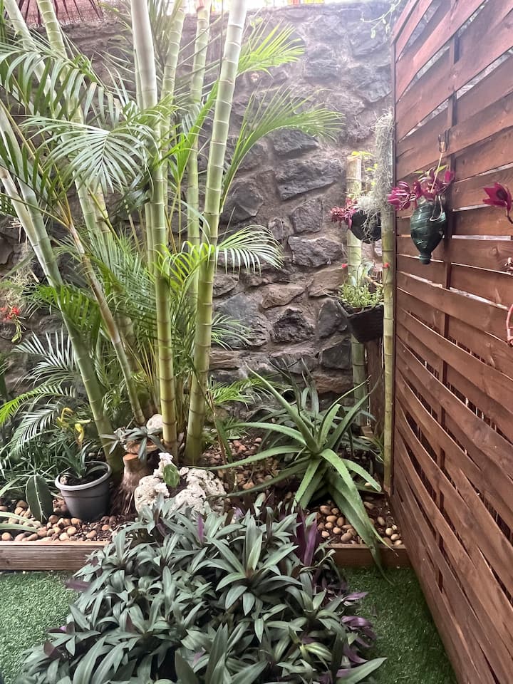T2 Avec Jardinet - Saint-Leu