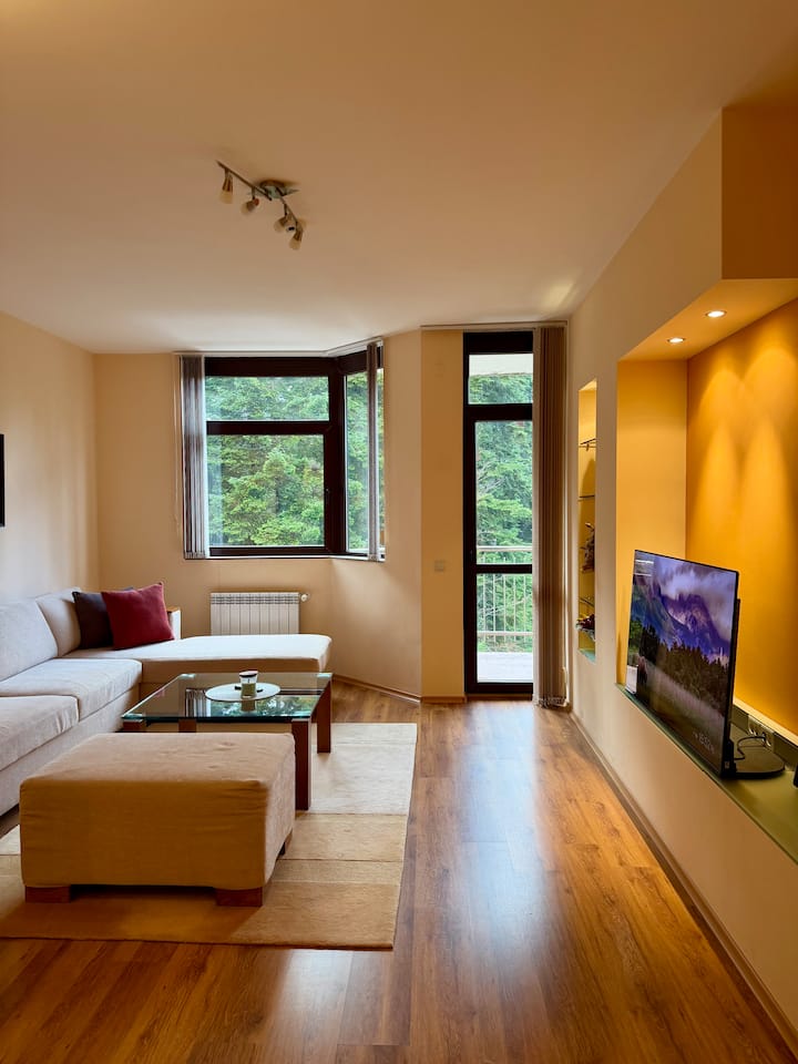 Spacious & Cozy Mountain Apartment - Dolna Banya