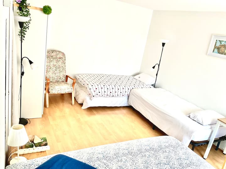 Belle Et Agréable Chambre En Centre-ville - 聖特拉斯堡