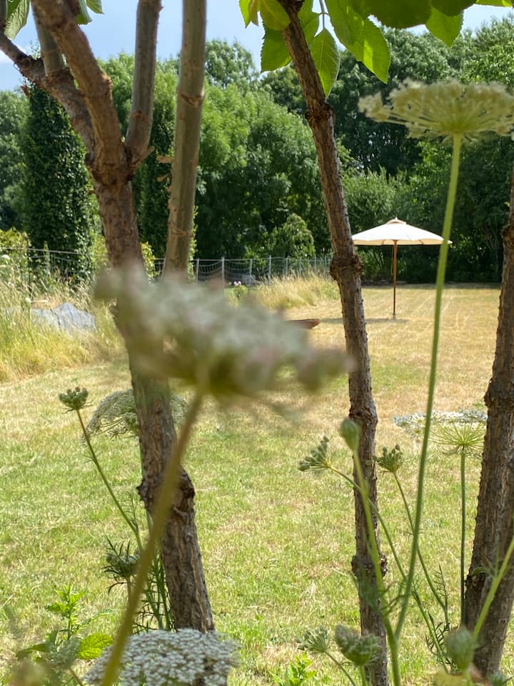 Schockelgaul – Petite Maison - Wachenheim