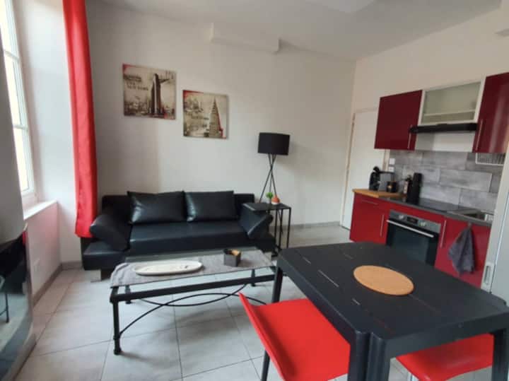 Magnifique Appartement En Bastide - Carcassonne