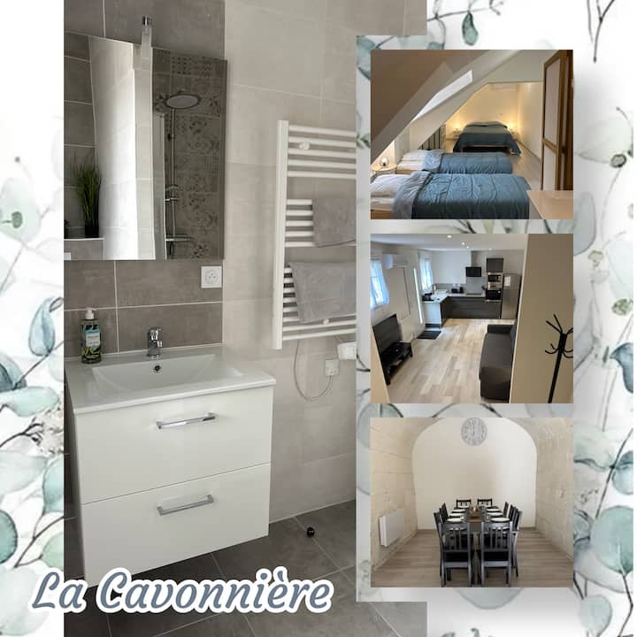 La Cavonnière 6-10 Pers. Zoo De Beauval-châteaux - Saint-Aignan