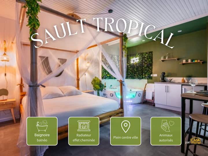 Sault Tropical*vue Montagne*balnéo*plein Centre - Aurel