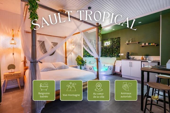 Sault Tropical*vue Montagne*balnéo*plein Centre - Sault
