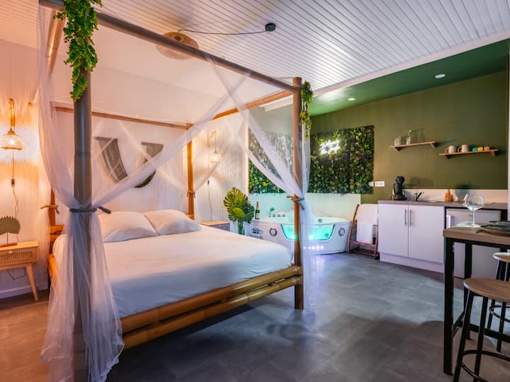 Sault Tropical*idéal Couple*balnéo*plein Centre - Sault