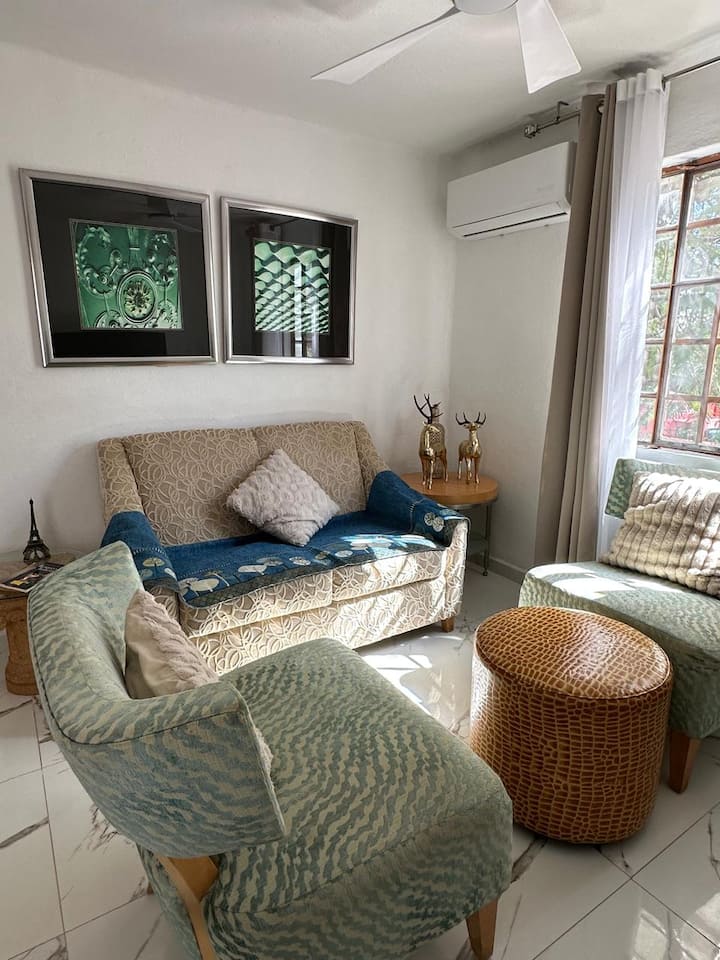 Beautiful And Renewed Apt. On Versalles - Puerto Vallarta