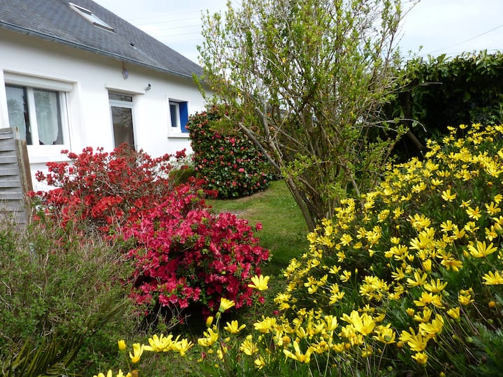 ÉVasion Aux Caraïbes Bretonnes à Perros Guirec - Brittany