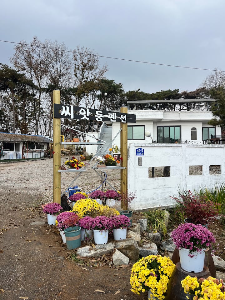 씨앗등펜션 - Naju-si