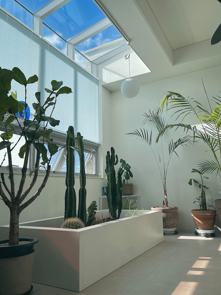 Sun Room/calm&peace/whirlpool/easy Travel On Foot - Jeju-do