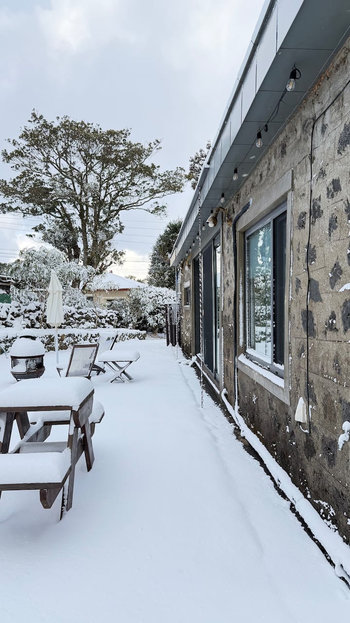 Tony & Tiny At Jeju - Jeju-si