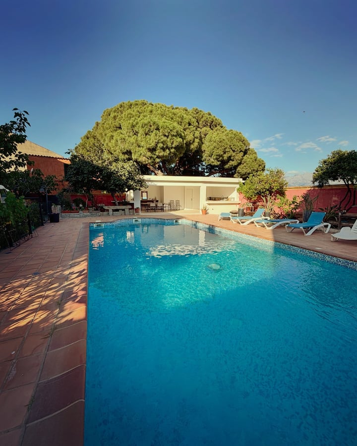 Appartement U Libecciu Centre Piscine - Calvi