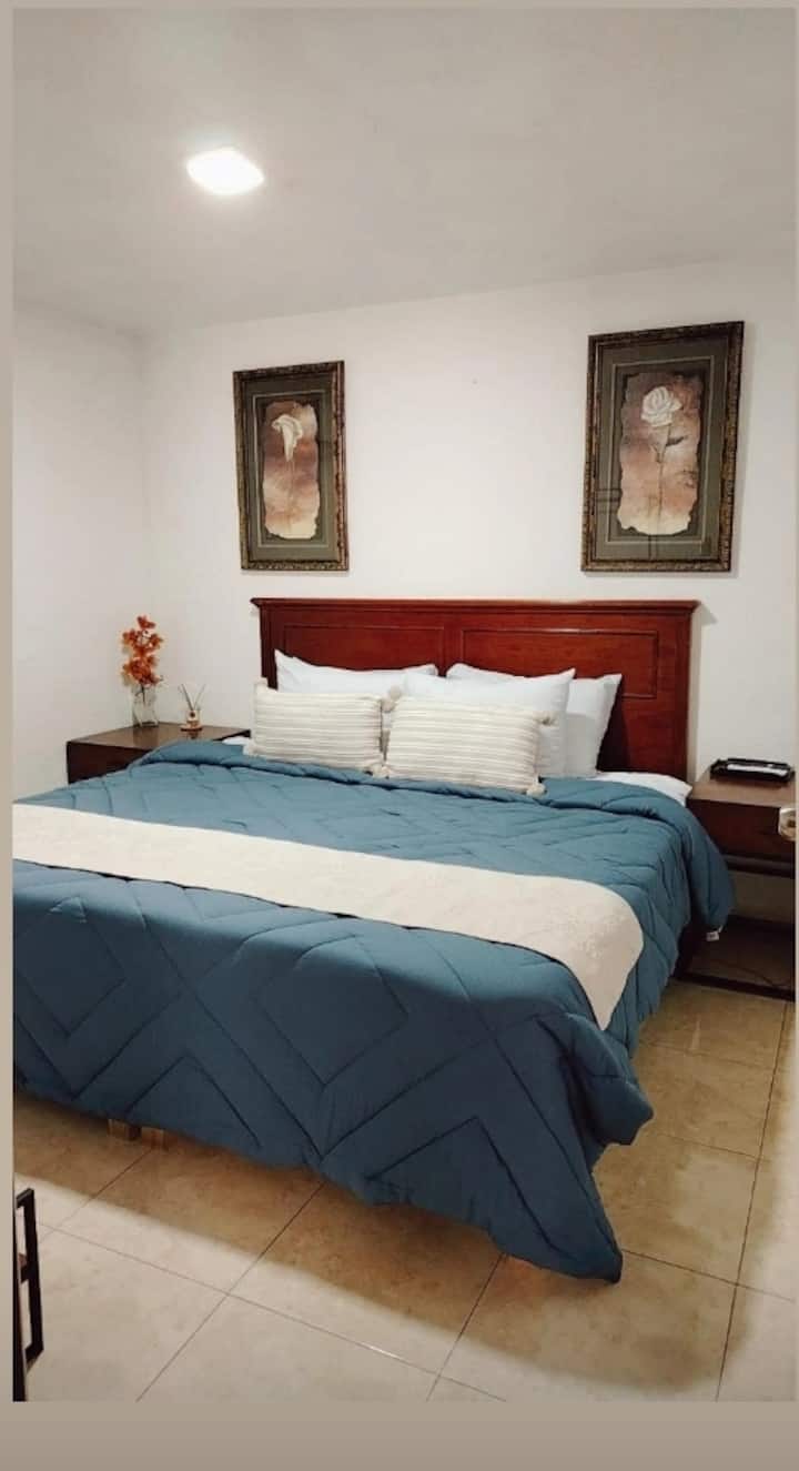 Departamento Aplio Independiente En Zona Centrica - 구아델로프