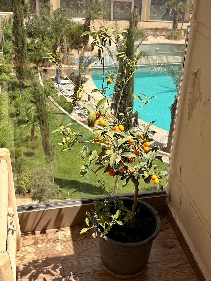 Cocon Premium, Balcon Vue Piscine, Fibre, Parking - Marrakesh