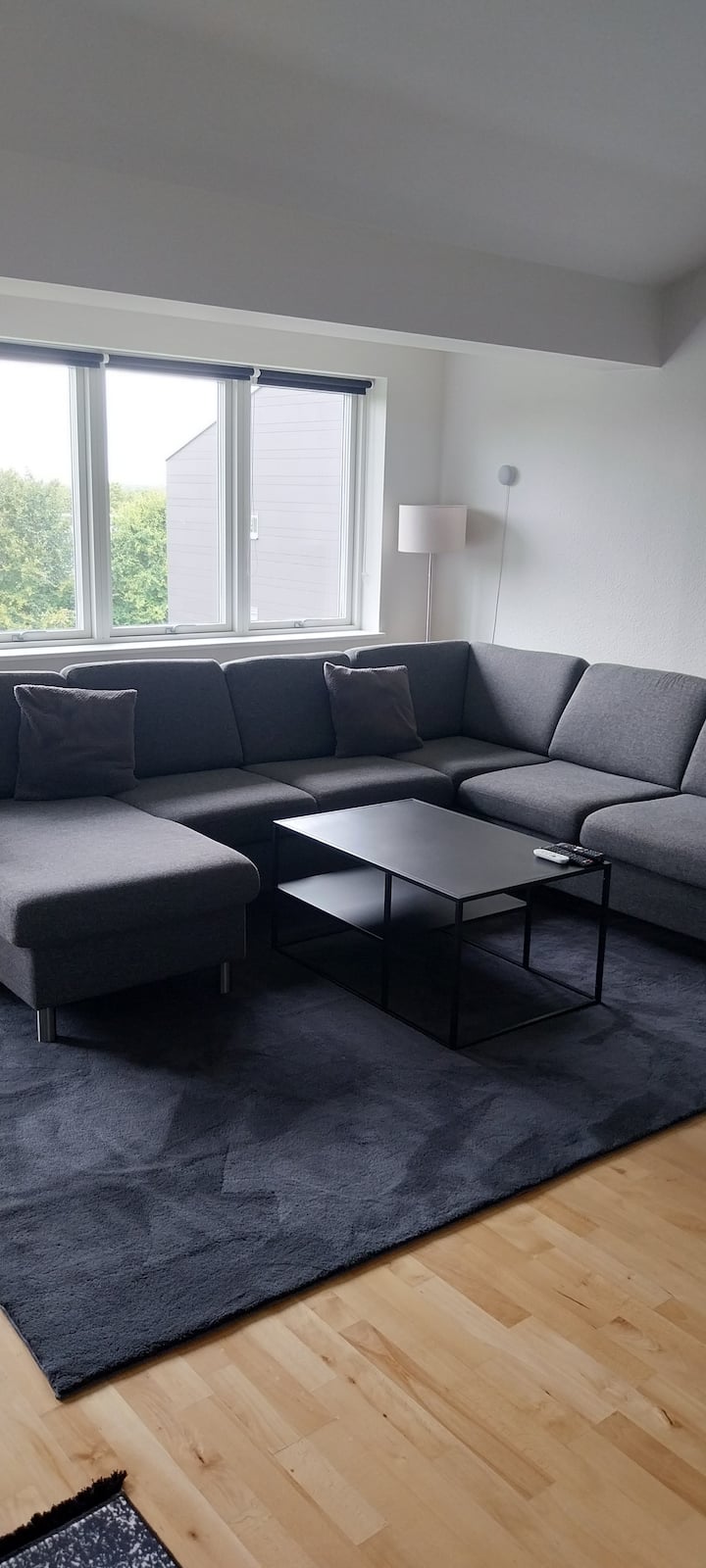 Hel Lejlighed I Odense - Odense