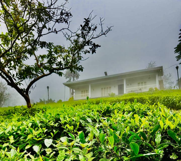 Private Tea Plantation Villa At Kuttikkanam - Thekkady