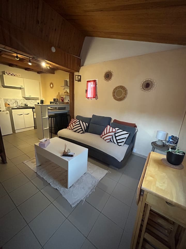 Appartement Indépendant Avec Extérieur - Aude