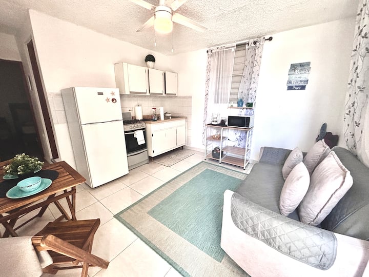 #2 Spacious 1 Bedroom In San Juan - San Juan