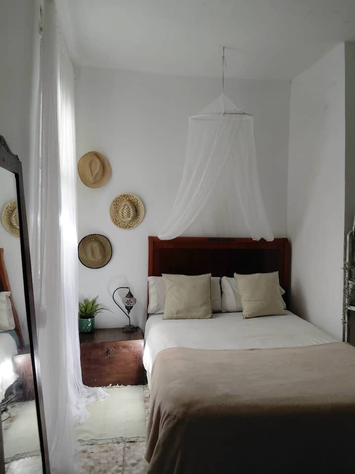 Habitación Doble En Centro/alameda. Terraza. - Séville