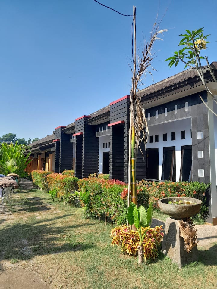 View Sawah Dengan Udara Yg Sejuk - Mataram