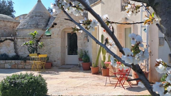 Trullo (Residenza Anima Mediterranea) - Francavilla Fontana