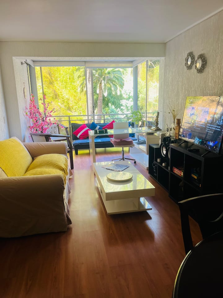 Pleno C. Turístico, A Pasos H. S.miramar Y Casino - Viña del Mar