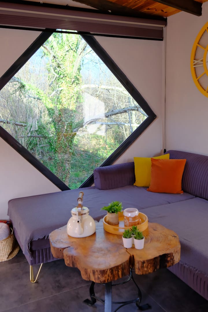 Mtsuitbungalov (Sıcak Havuz) - Sapanca