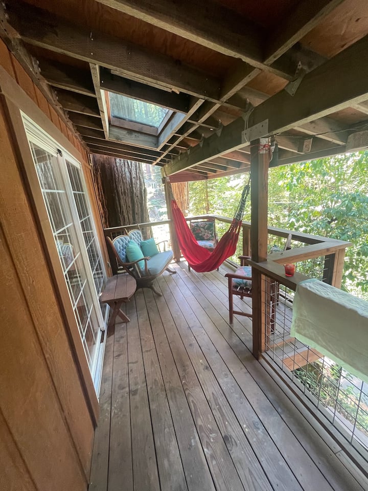 Cozy Dog-friendly Forest Retreat, Wfh/walk To Town - Guerneville, CA