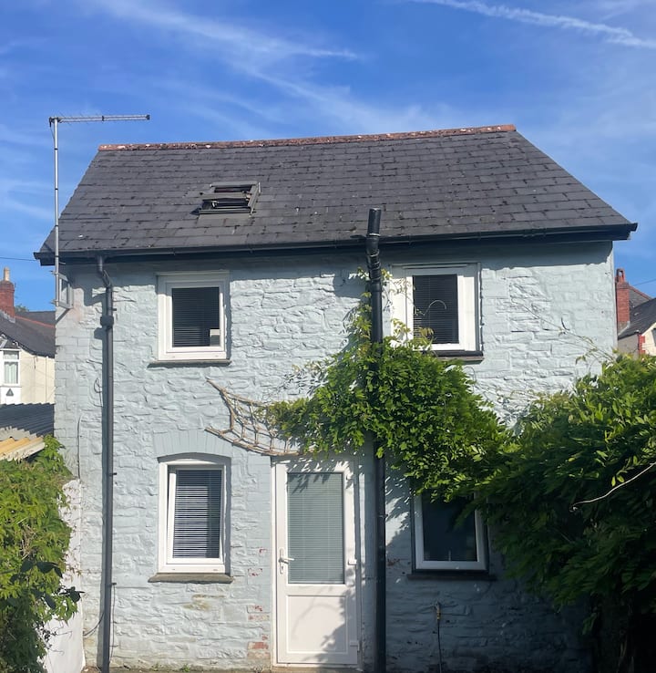 Gorgeous Cartws Close To Centre - Cardiff