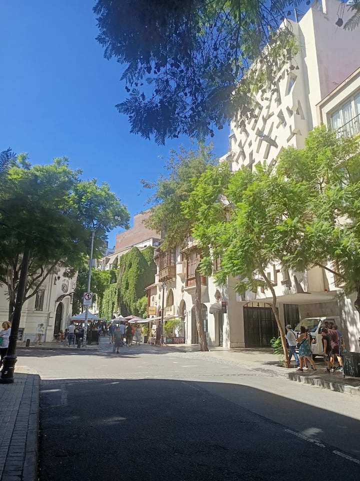 Alojamiento Cerca Barrio Lastarria Bellas Artes - Santiago