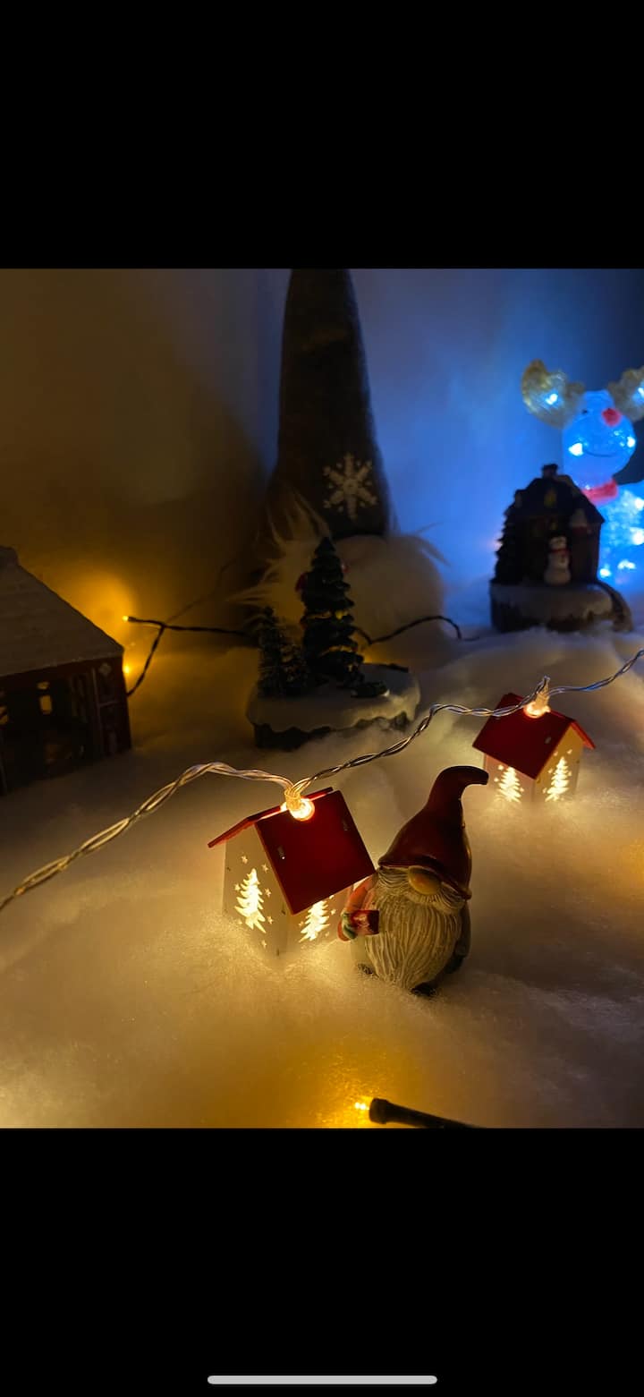 Northern Lights Downtown Stay - Norway