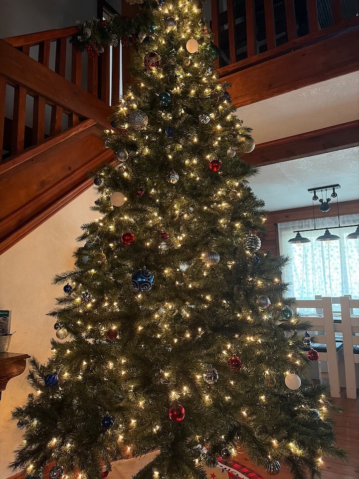 Wind Ridge Cabin/quiet And Relaxing - Farmington, MO