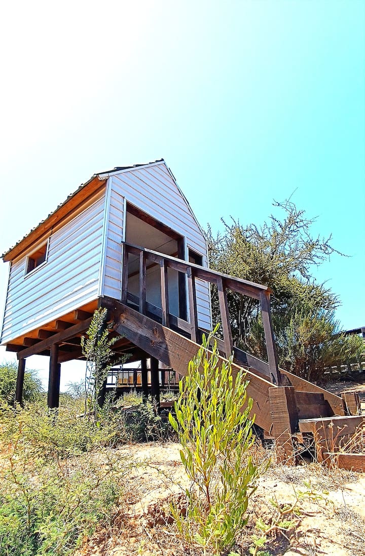 Cabañas Green House - Villa Alemana