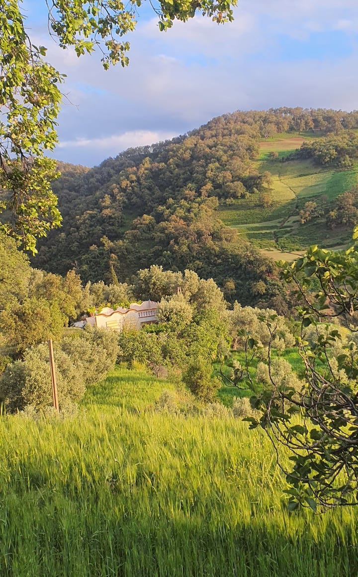 Gîte Sanhaji Tazekka - Maroc