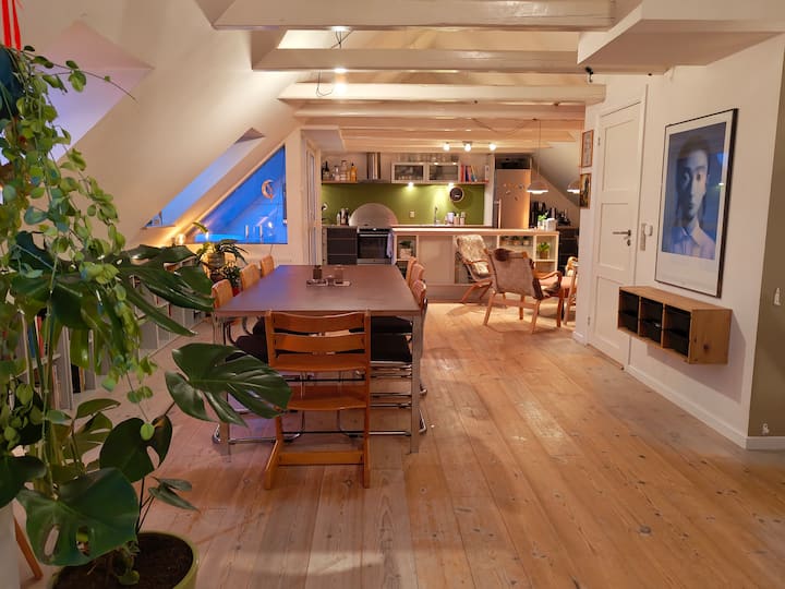 Modern And Spacious Apartment In The City Centre - Aarhus