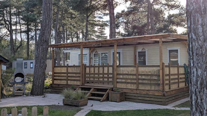 Chalet "Le Flogo" Dans Camping 4 * - Le Crotoy