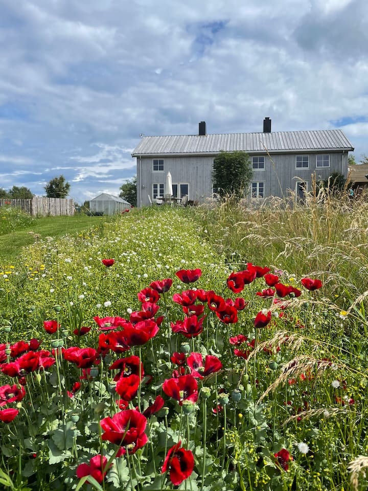 Unik Sjøperle – Bo Helt Alene Ved Vannkanten - Norway