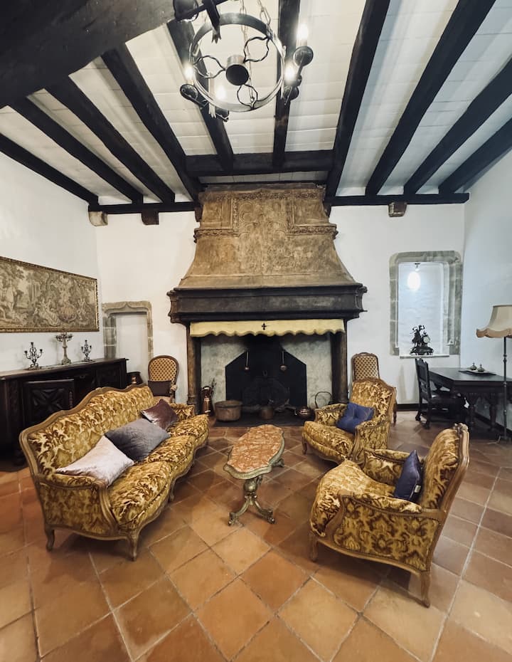 Maison Du Roy/royal Chambers - Saint-Antonin-Noble-Val