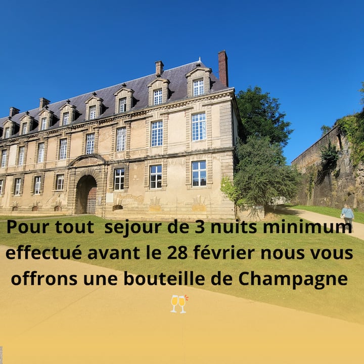 Château Des Princes " Fleur De Lys " - Sedan