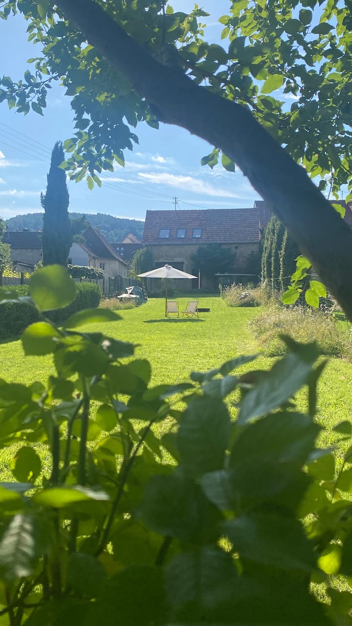 Schockelgaul – Beletage - Deidesheim