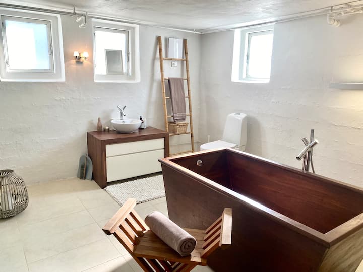 Stort Værelse Og "Mini Spa" I Lys Kælder - Odense